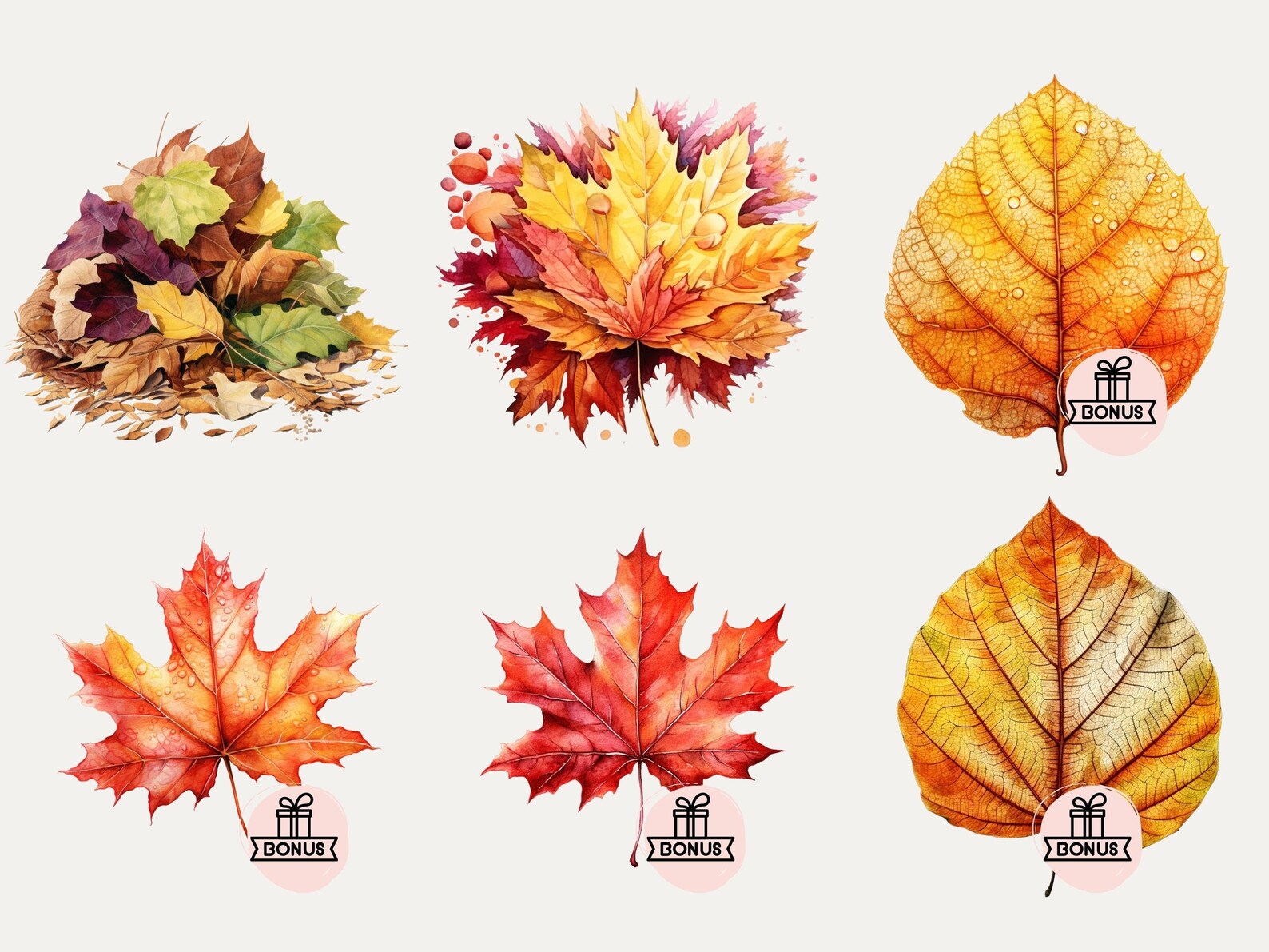 Fall Leaves Watercolor Clipart Bundle, Autumn Foliage Branch Free ...