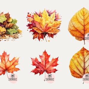 Fall Leaves Watercolor Clipart Bundle, Autumn Foliage Branch Free ...