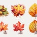 Fall Leaves Watercolor Clipart Bundle Autumn Foliage Branch - Etsy