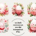 Easter Egg Watercolor Clipart Bundle, Floral Egg Free Commercial PNG ...