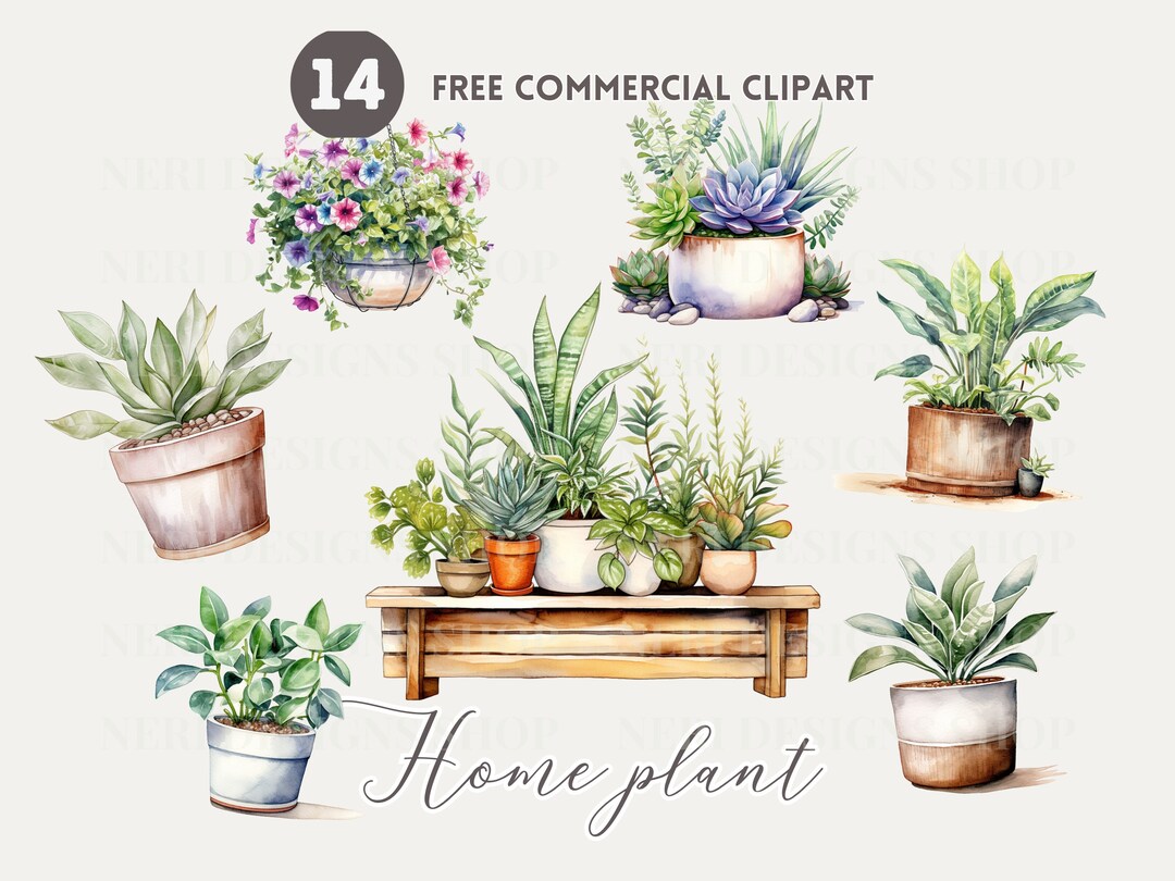 Home Plant Watercolor Clipart Bundle, Potted Plant Free Commercial PNG ...