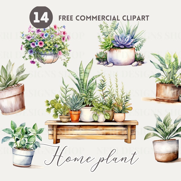 Potted Cactus Plant - Etsy