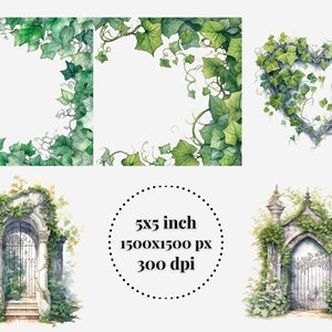 Ivy Watercolor Clipart Bundle Vine Free Commercial Clipart Set Trailing ...