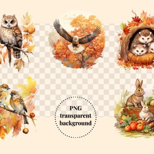 Autumn Animal Watercolor Clipart Bundle, Free Commercial Fall Creature ...
