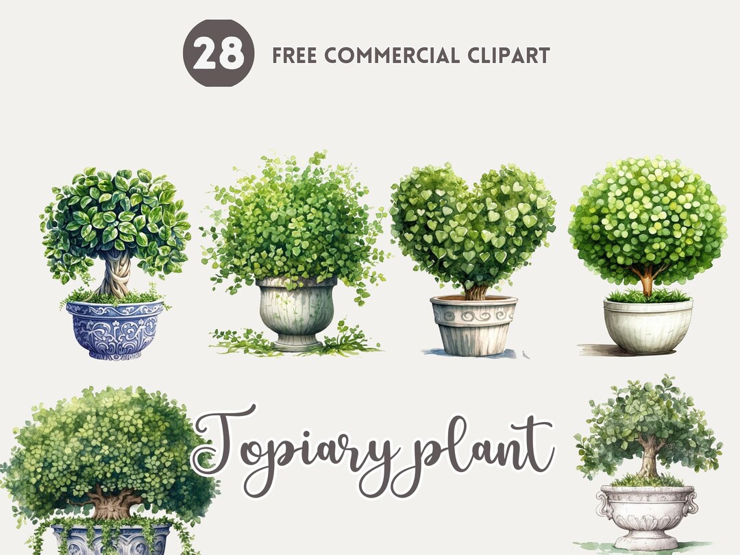 Topiary Planter Watercolor Clipart Bundle, Potted Plant Free Commercial ...