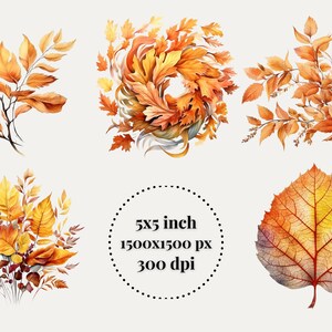 Fall Leaves Watercolor Clipart Bundle, Autumn Foliage Branch Free ...