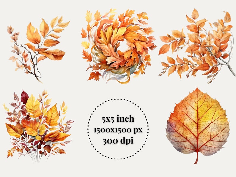 Fall Leaves Watercolor Clipart Bundle Autumn Foliage Branch - Etsy