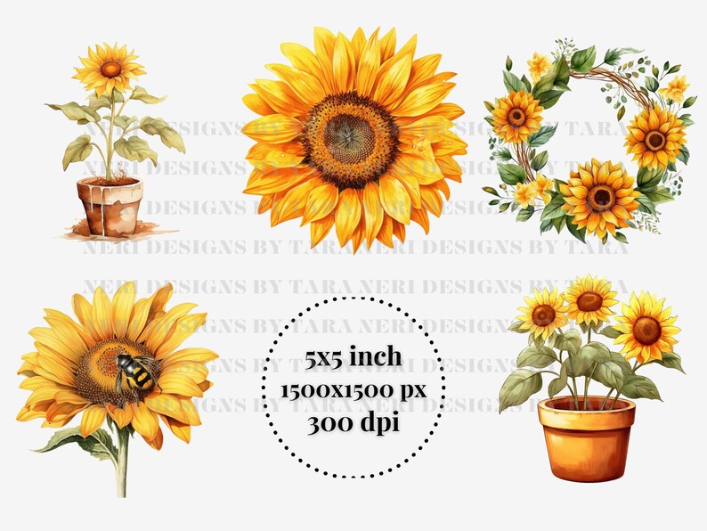 Sunflower Watercolor Clipart Bundle Potted Sunflower Free - Etsy