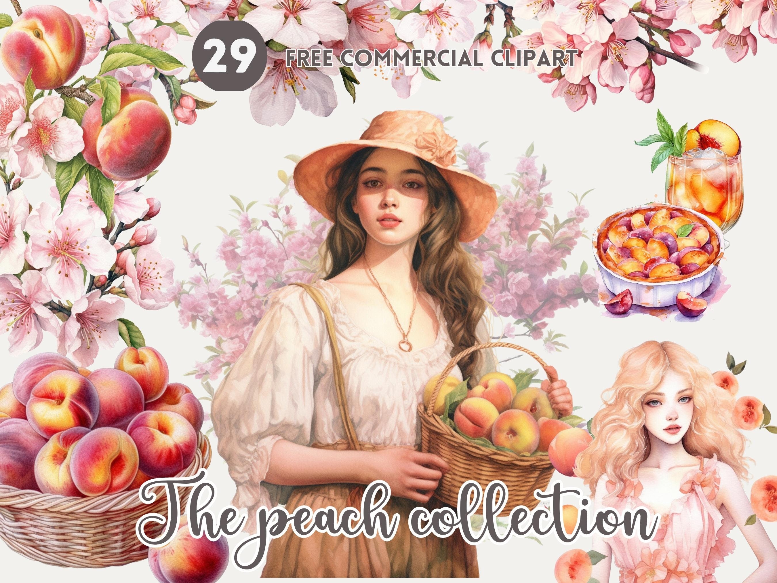 Peach Watercolor Clipart Bundle Peach Blossom Free Commercial - Etsy