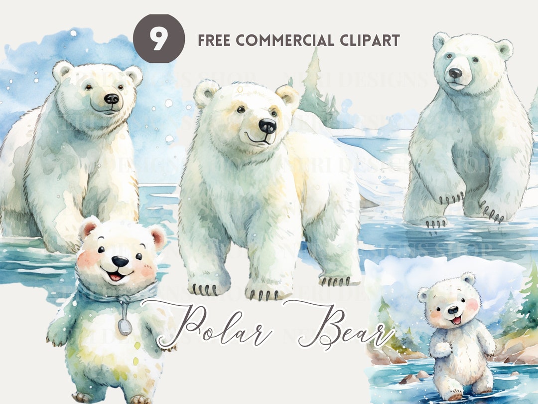 Polar Bear Watercolor Clipart Bundle, Arctic Bear Free Commercial PNG ...