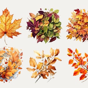 Fall Leaves Watercolor Clipart Bundle, Autumn Foliage Branch Free ...