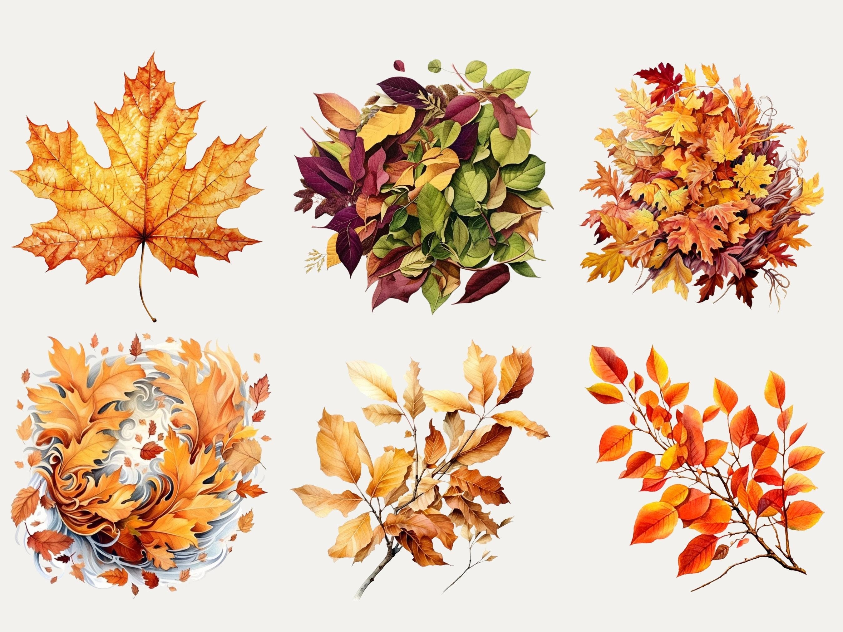 Fall Leaves Watercolor Clipart Bundle Autumn Foliage Branch - Etsy