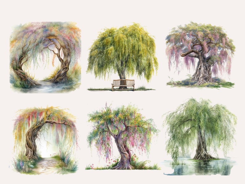 Willow Tree Watercolor Clipart Bundle Free Commercial Whimsical Tree ...