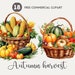 Autumn Garden Watercolor Clipart Bundle, Pumpkin Patch Free Commercial ...
