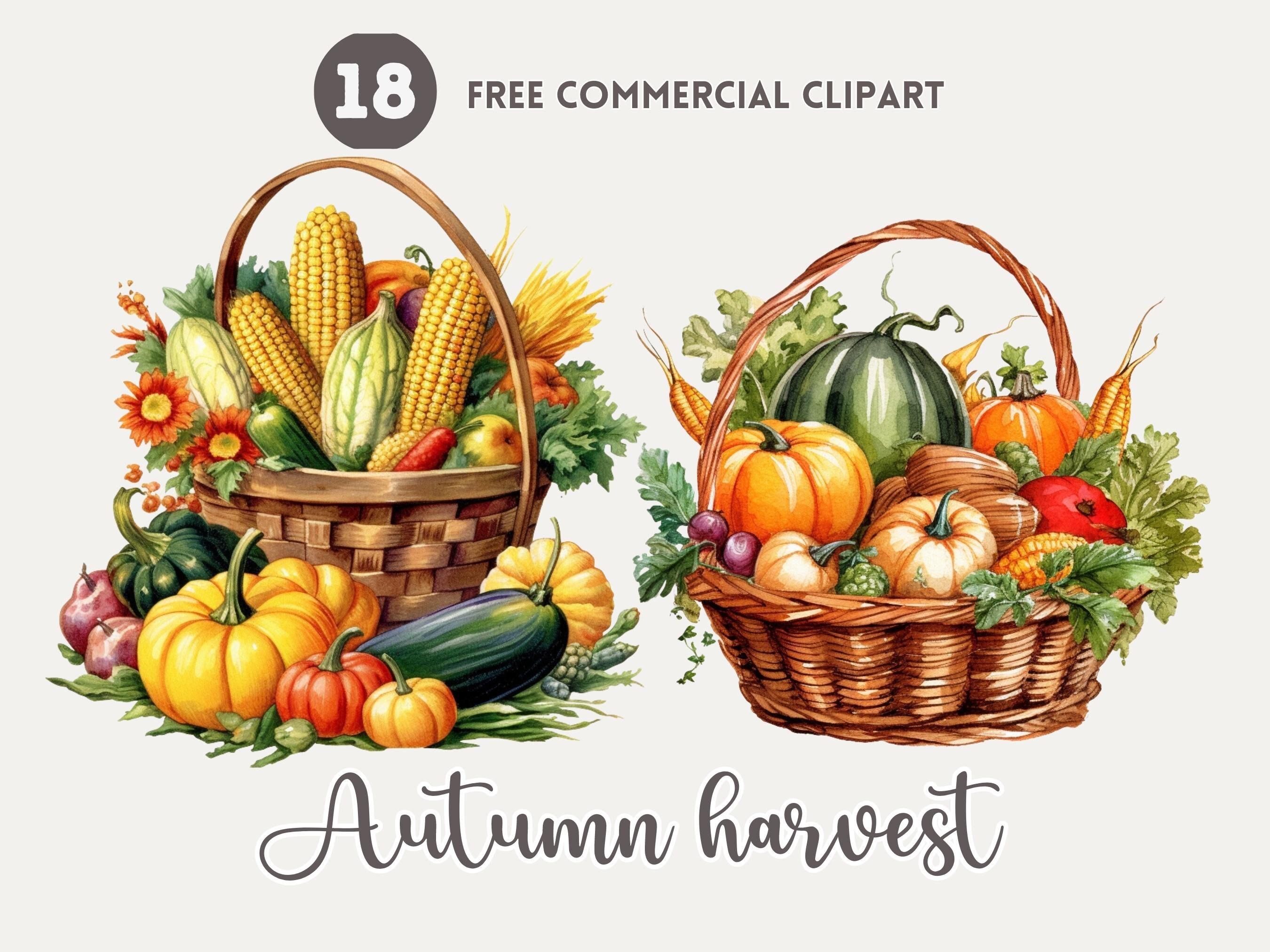 Autumn Harvest Watercolor Clipart Bundle Vegetable Basket - Etsy