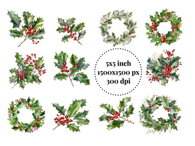 Holly Plant Watercolor Clipart Bundle Holly Berry Free - Etsy