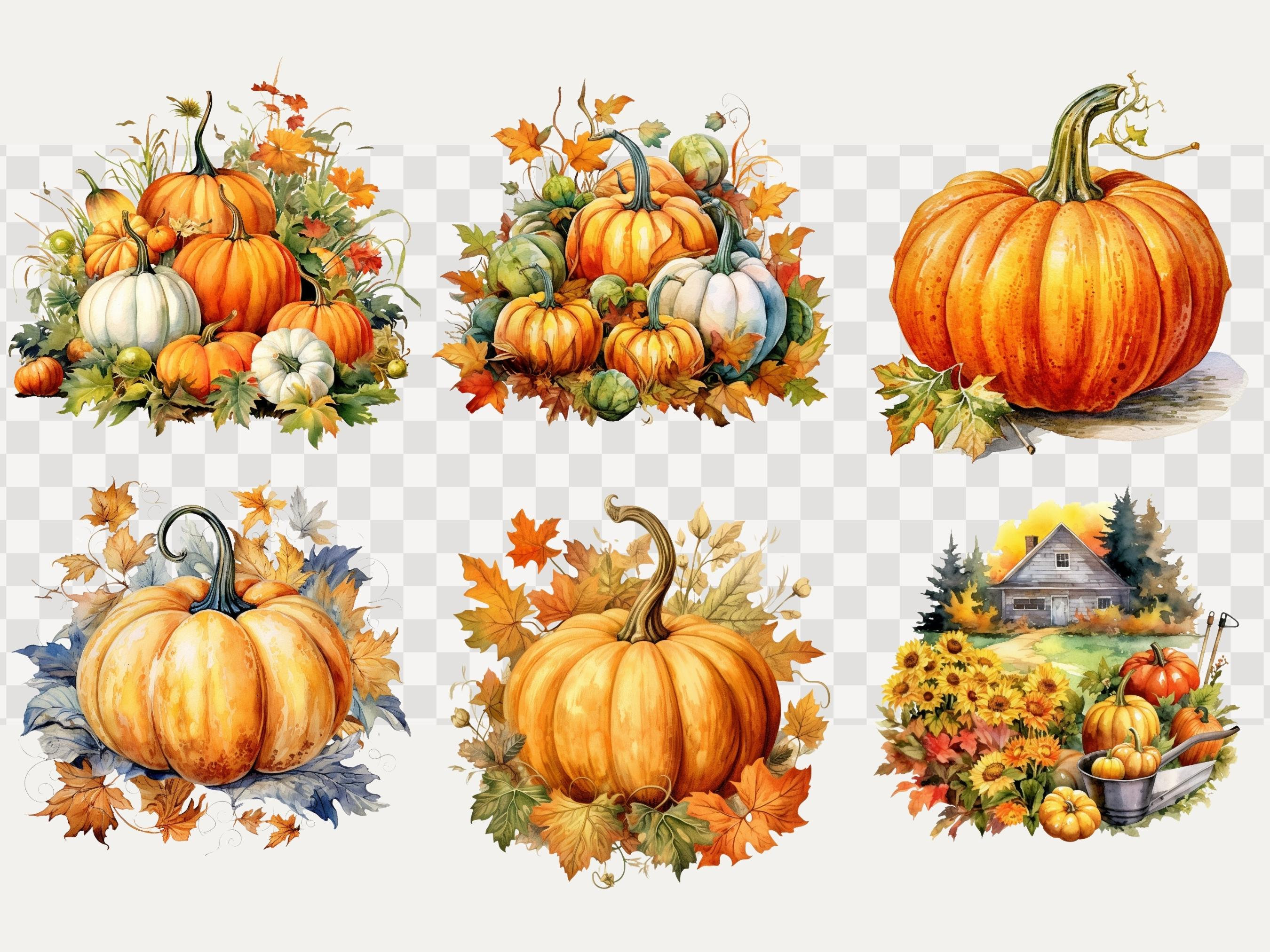 Autumn Pumpkin Watercolor Clipart Bundle Fall Harvest Free - Etsy