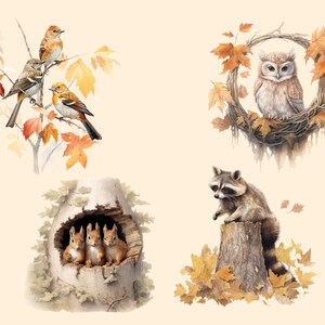 Autumn Animal Watercolor Clipart Bundle, Free Commercial Fall Creature ...