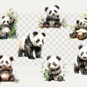 Cute Panda Watercolor Clipart Bundle, Chinese Panda Free Commercial PNG ...
