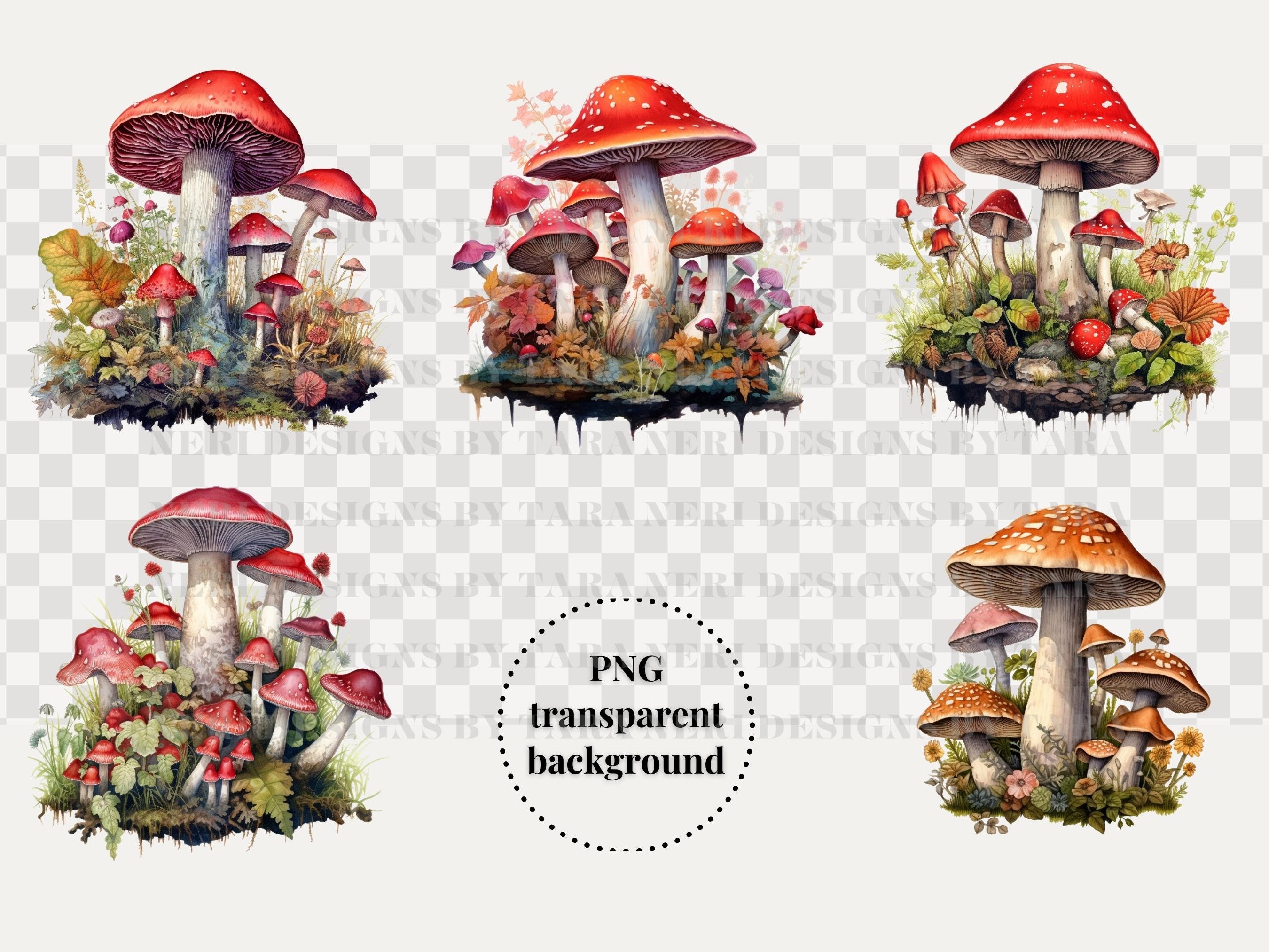 Vintage Mushroom Watercolor Clipart Bundle Fungi Free - Etsy