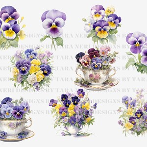 Pansy Flower Watercolor Clipart Bundle Free Commercial Floral PNG ...