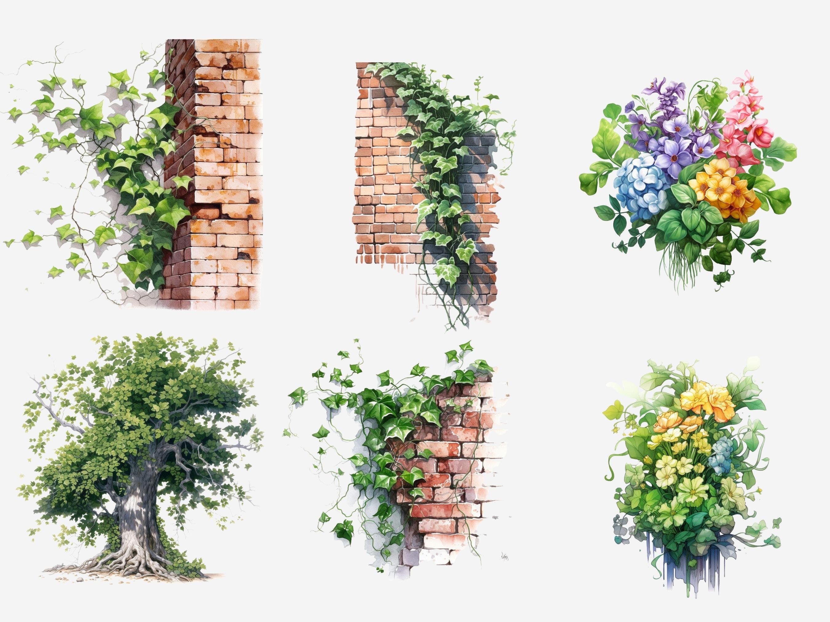 Ivy Watercolor Clipart Bundle Vine Free Commercial Clipart Set - Etsy