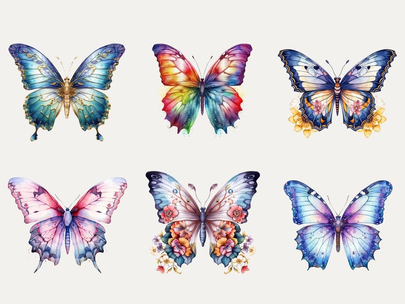 Butterfly Watercolor Clipart Bundle Elegant Insect Free - Etsy