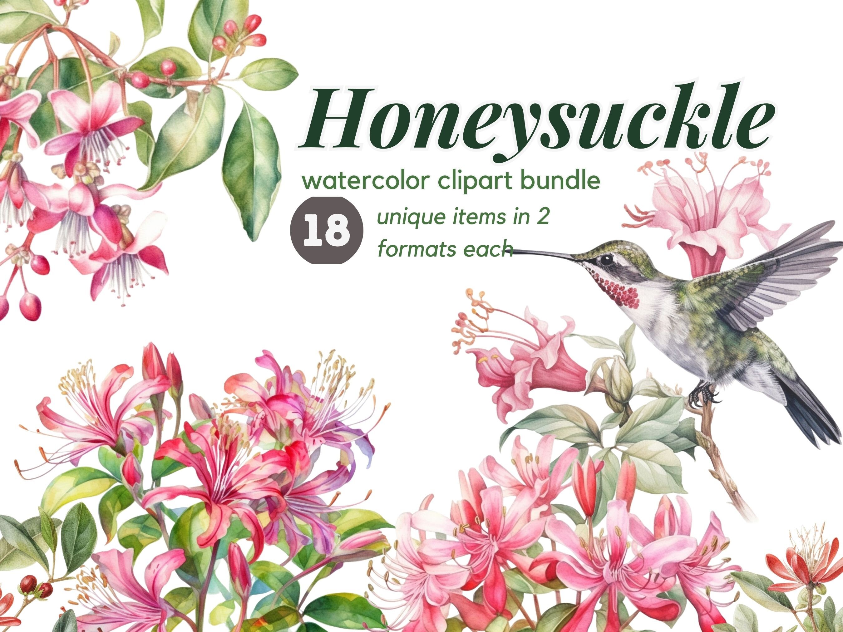 Honeysuckle Watercolor Png Clipart Bundle, Goat's Leaf Free Commercial ...