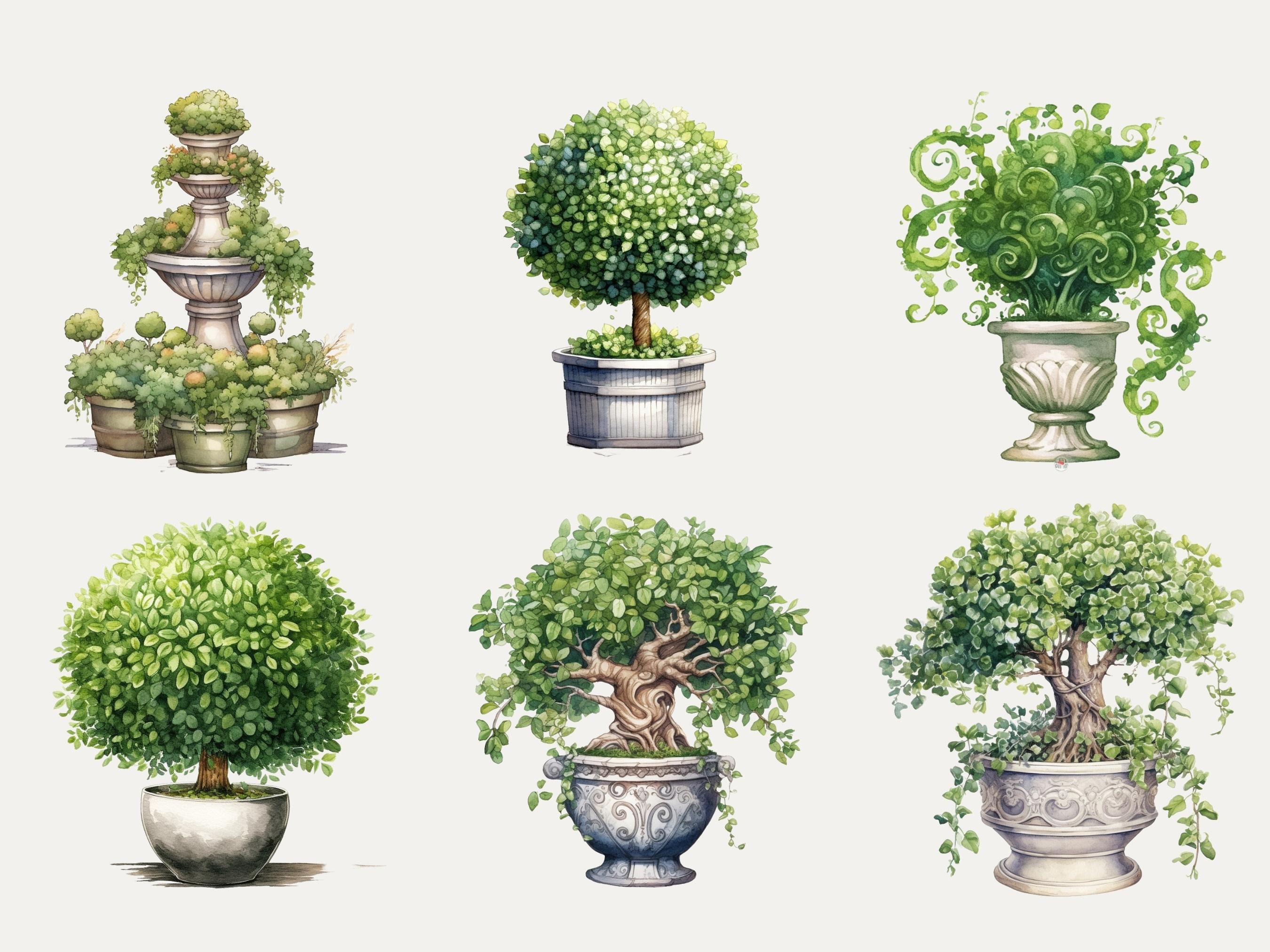 Topiary Planter Watercolor Clipart Bundle, Potted Plant Free Commercial ...