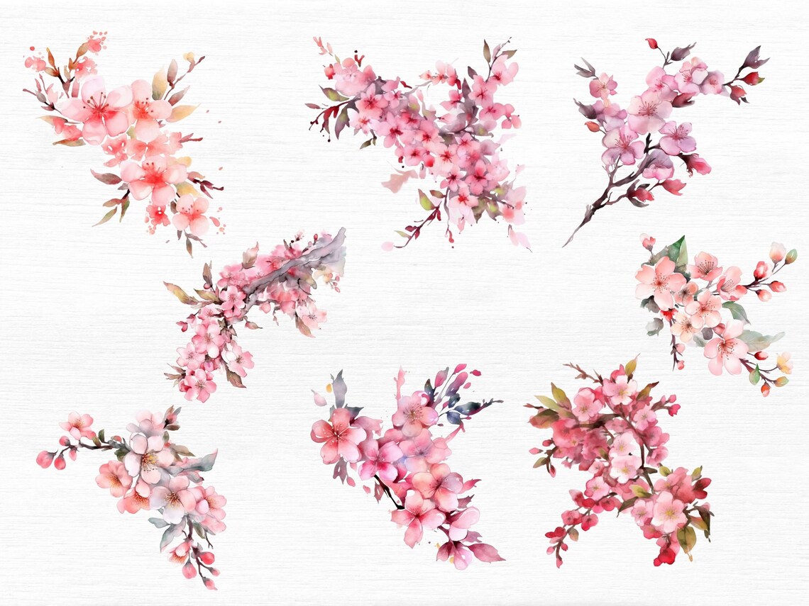 Cherry Blossom Watercolor Clipart Bundle Free Commercial - Etsy