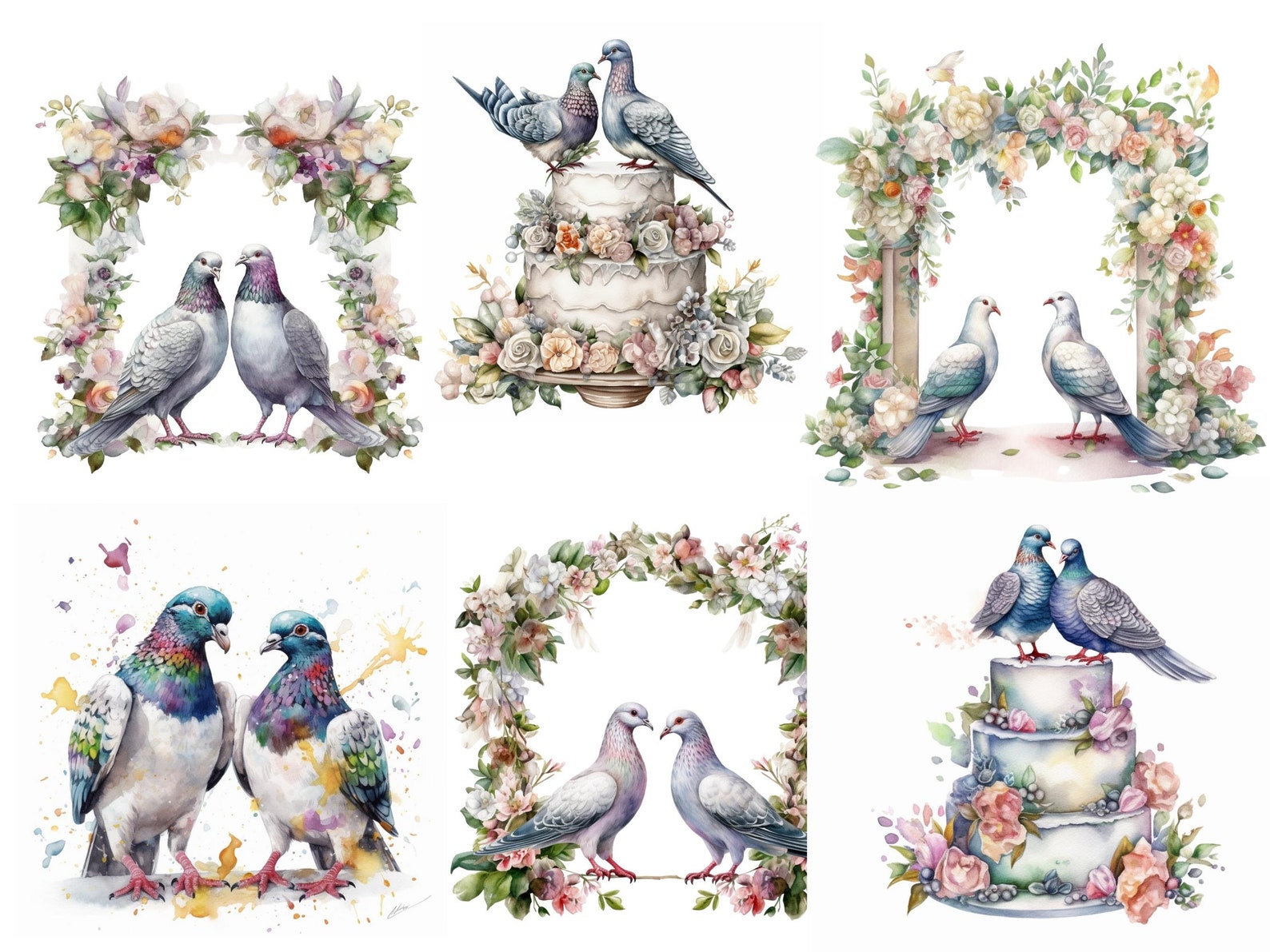 Wedding Pigeon Watercolor Clipart Bundle Free Commercial - Etsy