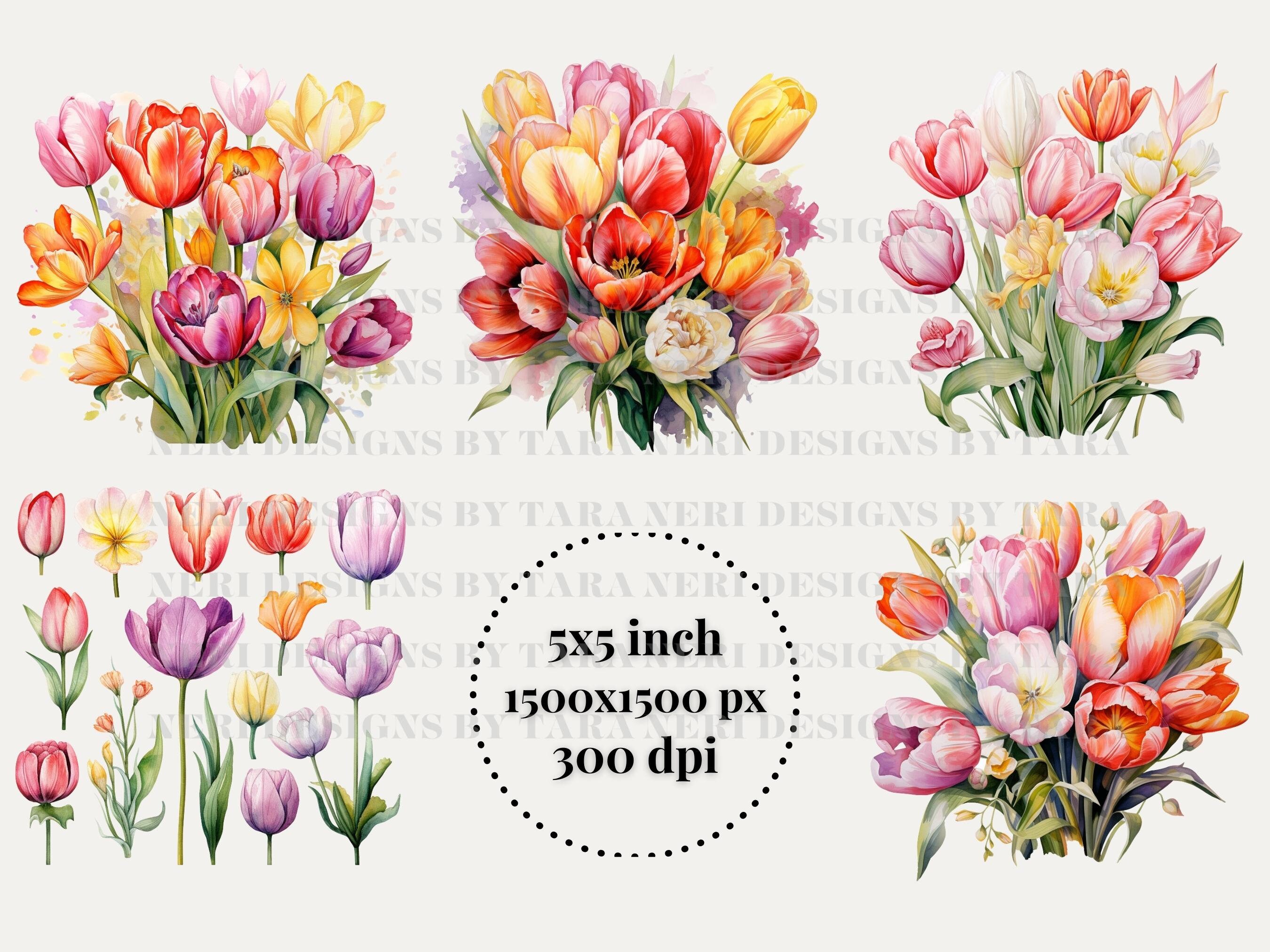 Tulip Flower Watercolor Clipart Bundle Woman Hold Tulip - Etsy
