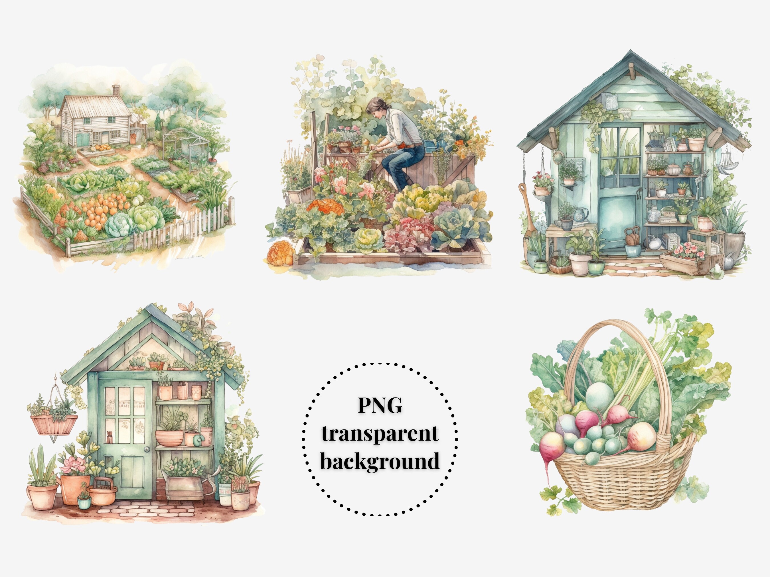 Vegetable Garden Watercolor Clipart Bundle Free Commercial - Etsy