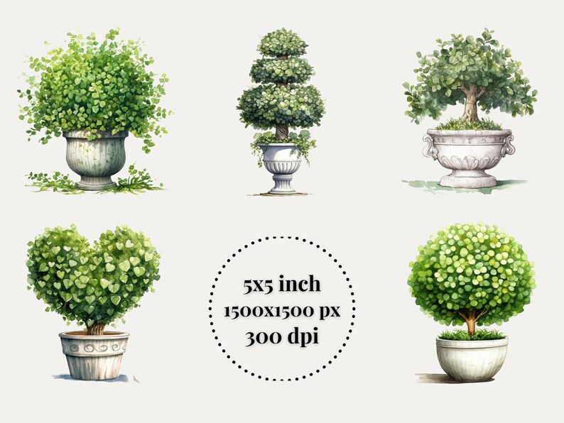 Topiary Planter Watercolor Clipart Bundle, Potted Plant Free Commercial ...