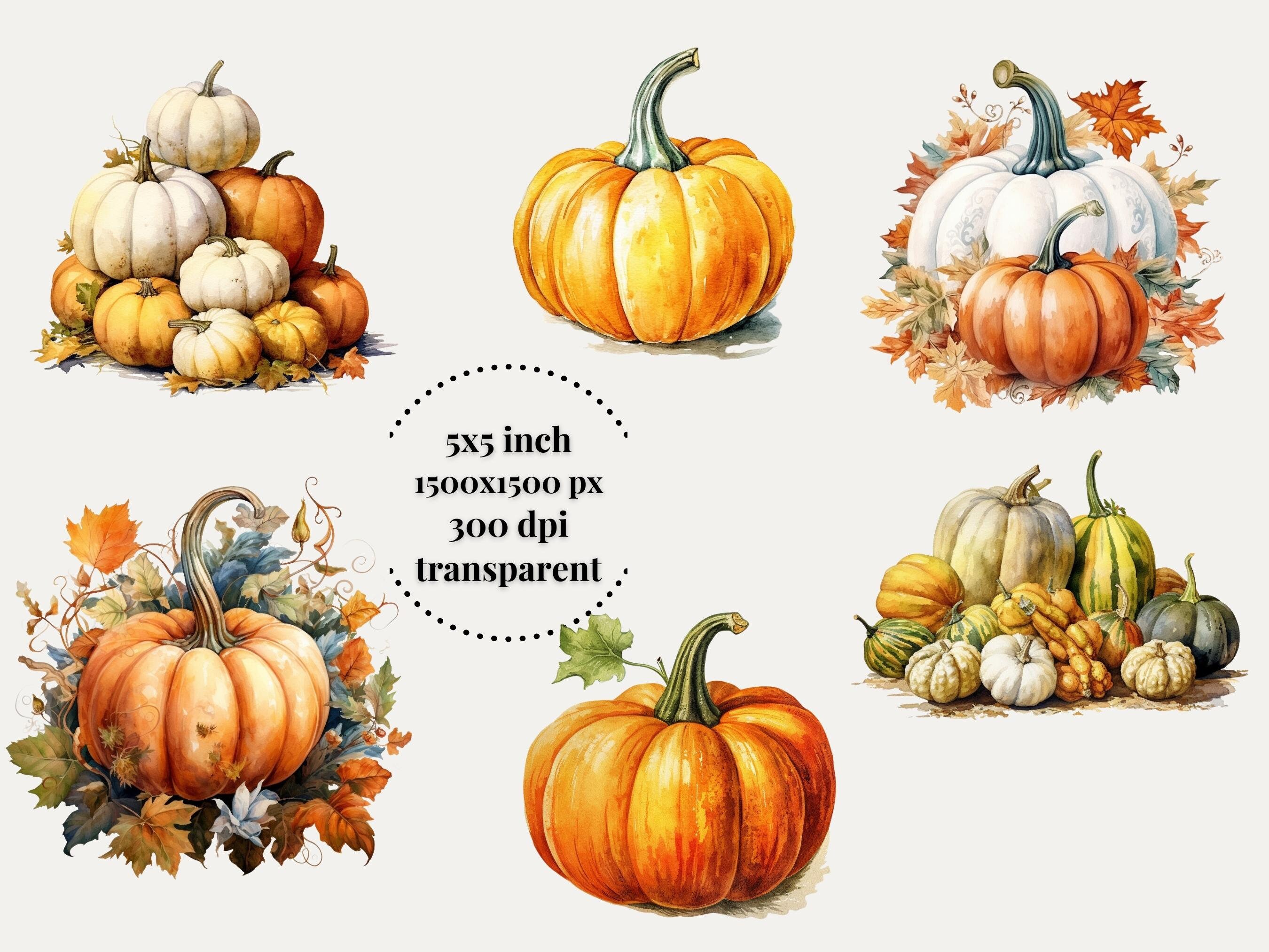 Autumn Pumpkin Watercolor Clipart Bundle Fall Harvest Free - Etsy