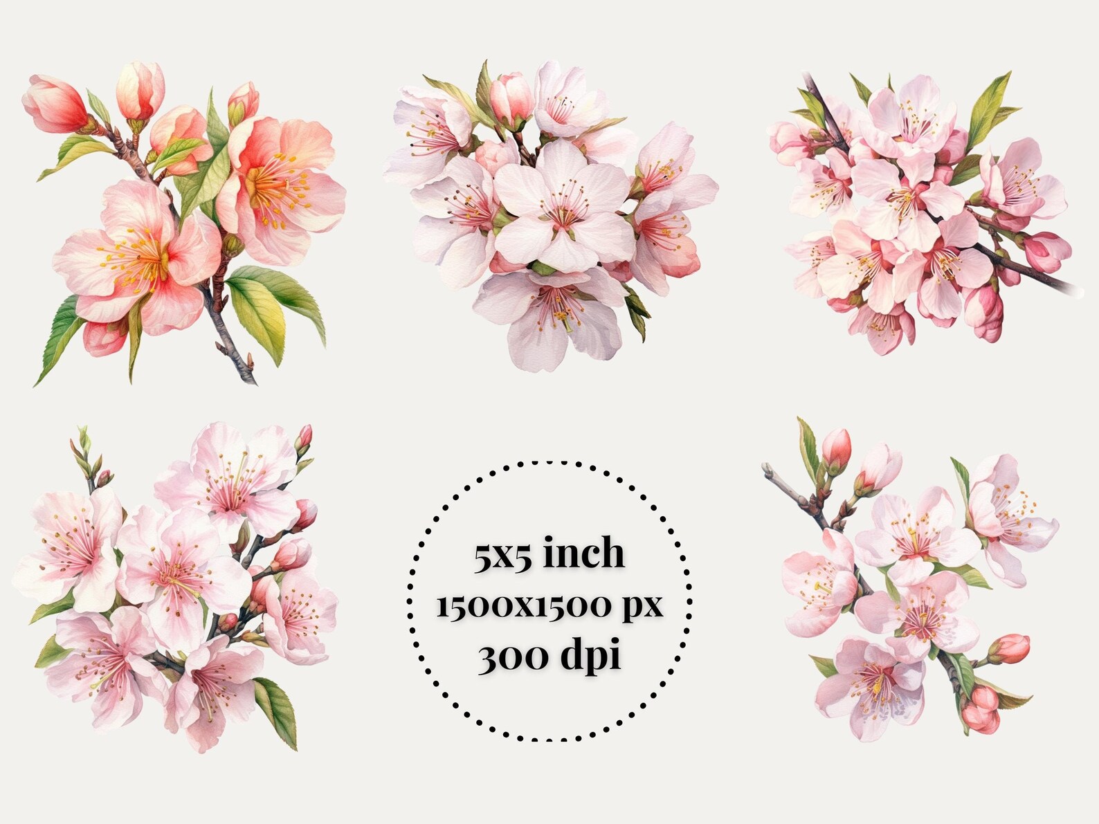 Peach Watercolor Clipart Bundle Peach Blossom Free Commercial - Etsy