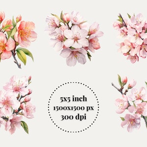 Peach Watercolor Clipart Bundle Peach Blossom Free Commercial Png Set ...