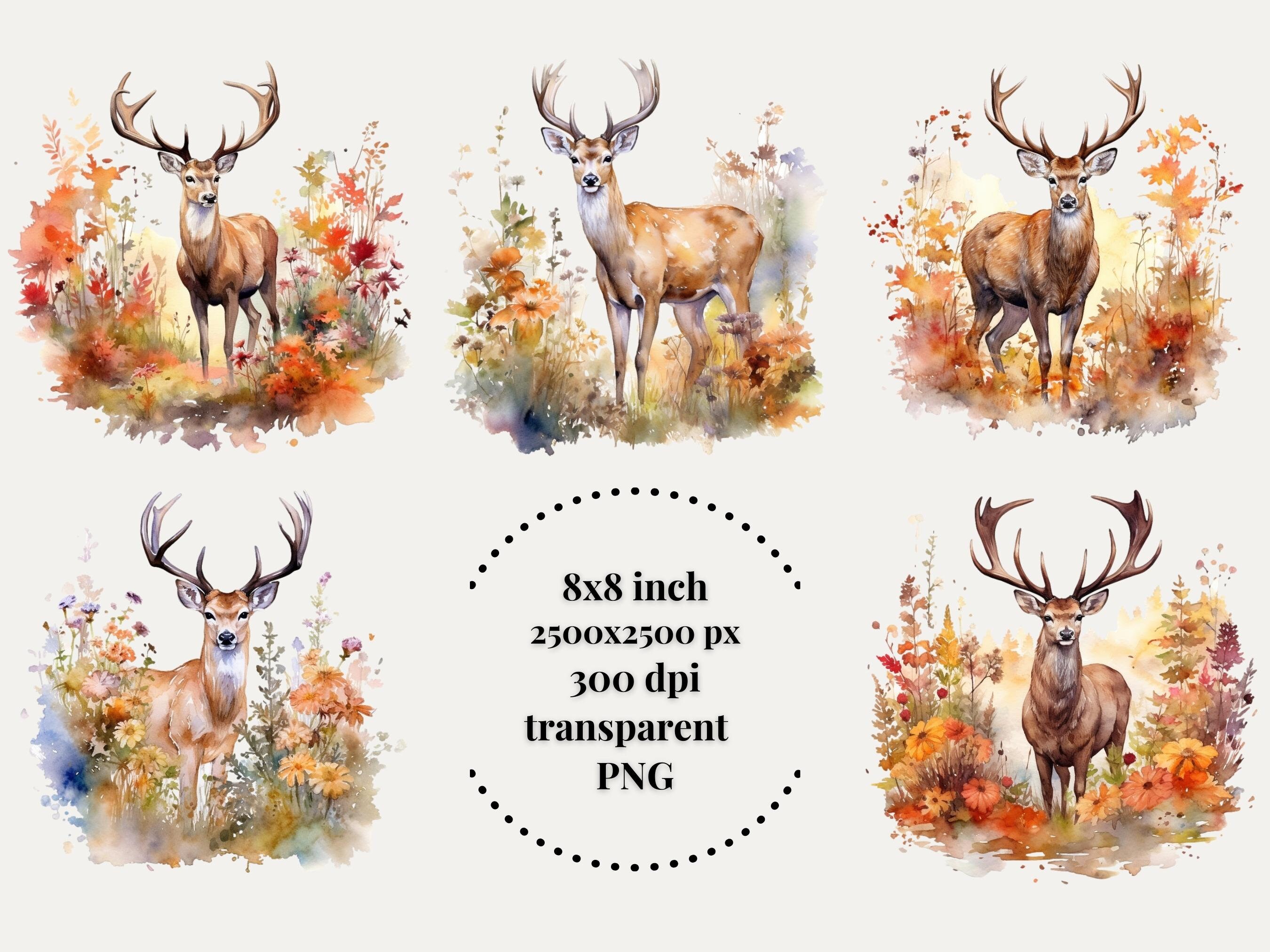Autumn Deer Watercolor Clipart Bundle Fall Season Stag Free - Etsy