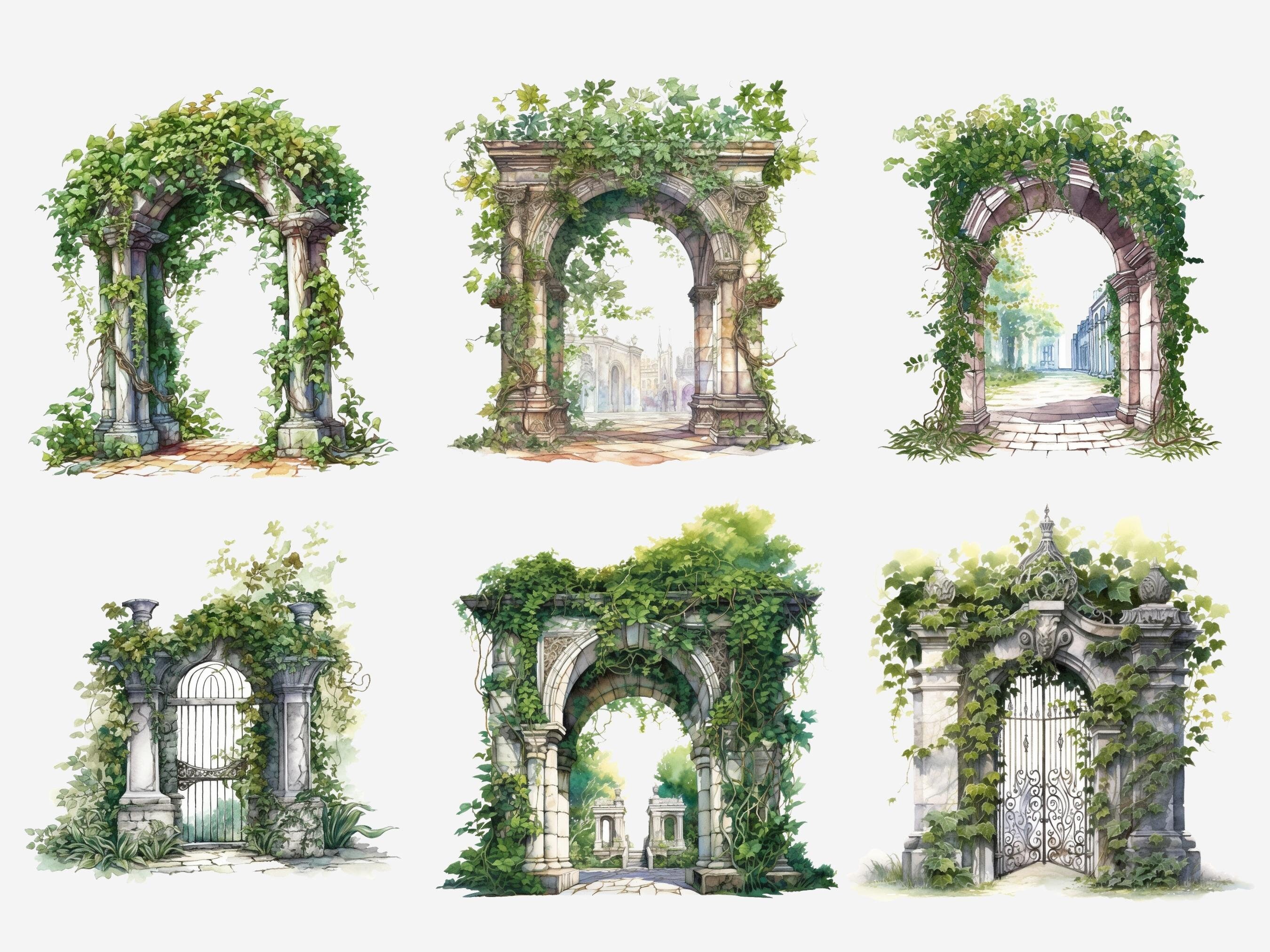Ivy Watercolor Clipart Bundle Vine Free Commercial Clipart Set - Etsy