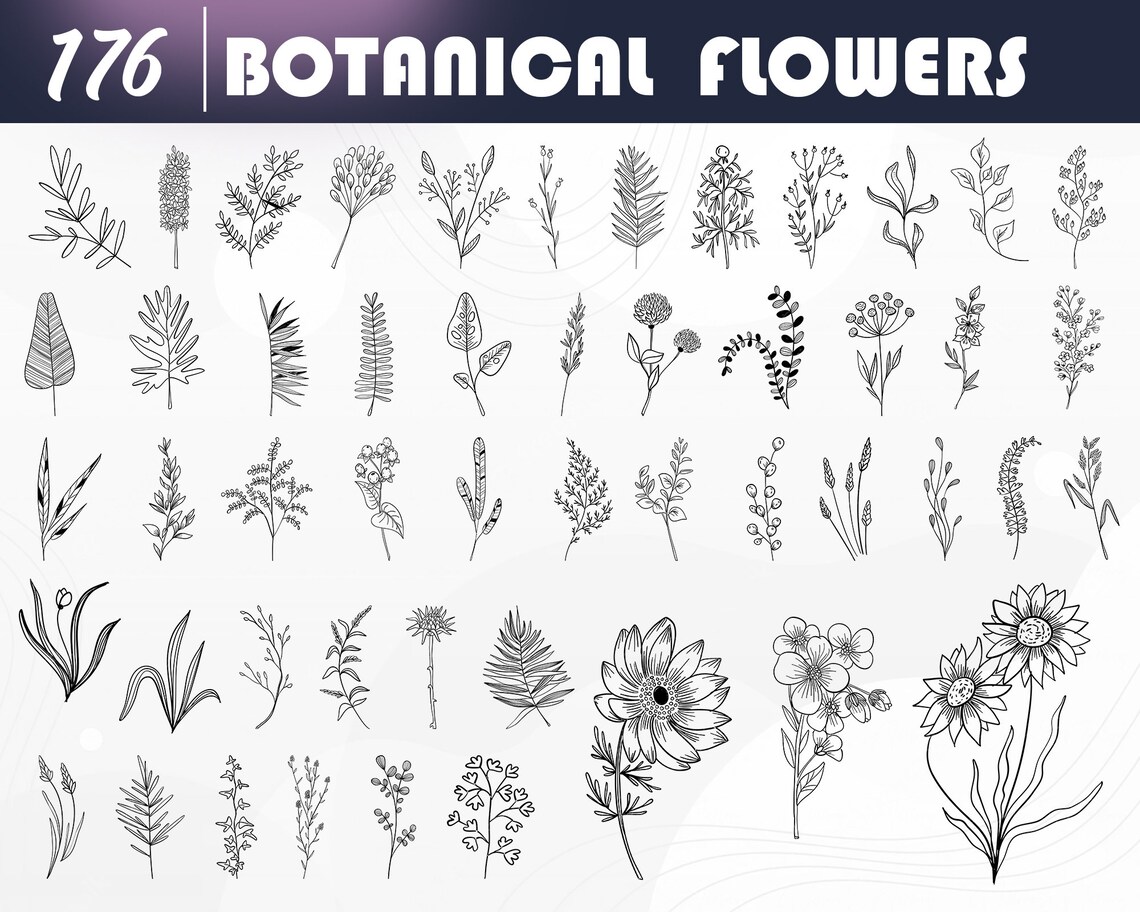 Botanical Flowers SVG - Flower Svg, Botanical Clipart, Floral Svg ...