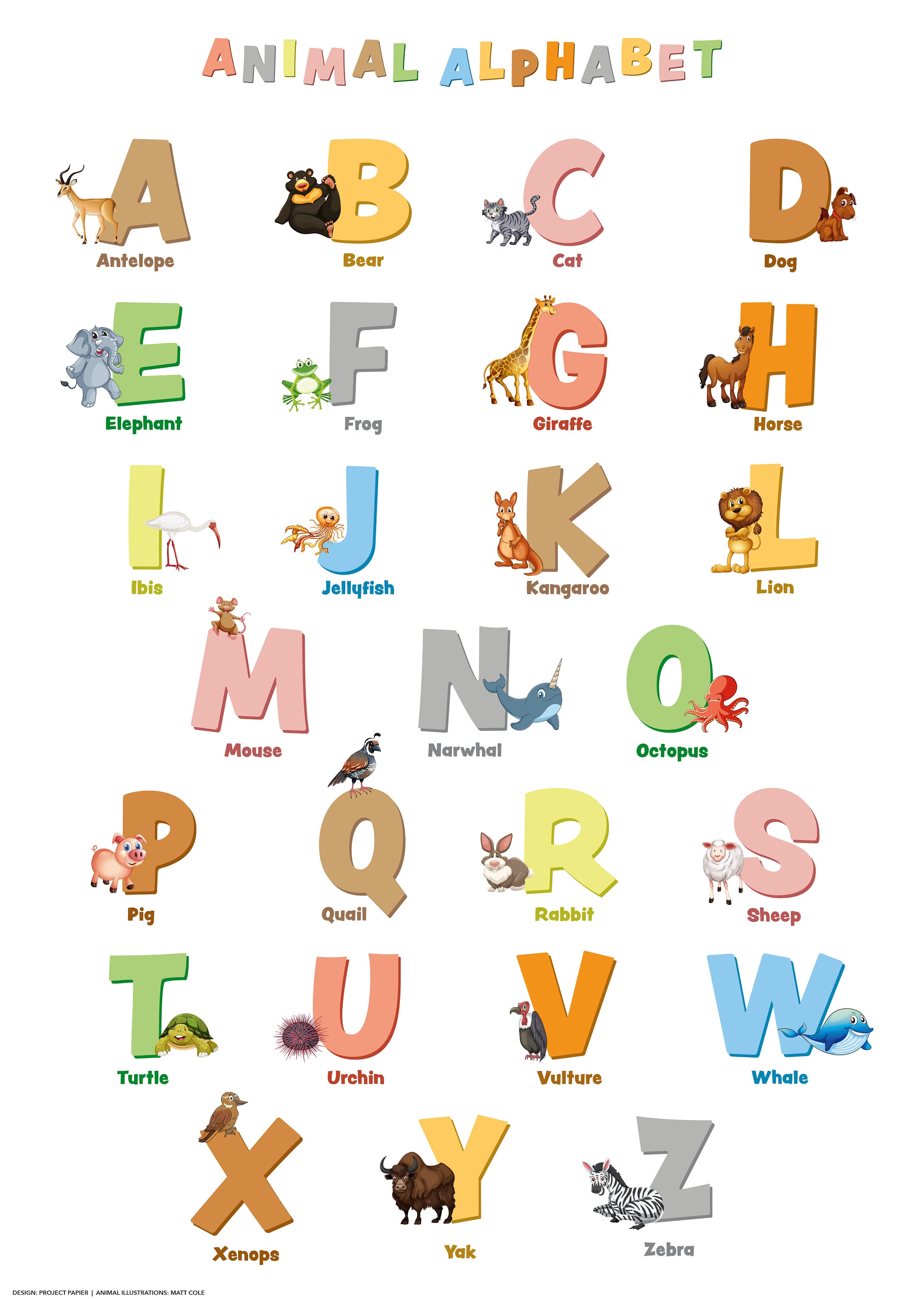Animal Alphabet English (A4, A3, A2, US Letter, Tabloid) Printable ...