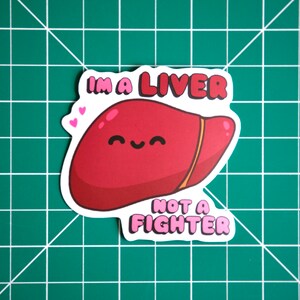 Liver, Not a Fighter - Vinyl Sticker, Nurse Sticker, Cute Nursing Gifts ...