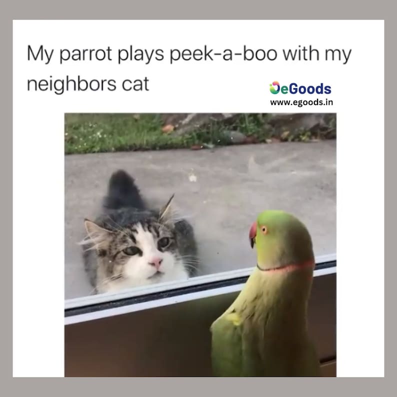 VIRAL MEME BUNDLE, 100k Ready to Use Memes Bundle, Digital Download - Etsy