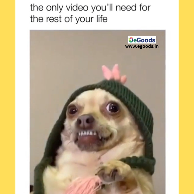 VIRAL MEME BUNDLE, 100k Ready to Use Memes Bundle, Digital Download - Etsy