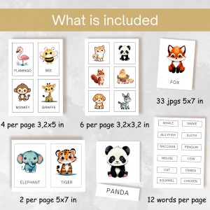 34 Animal Flashcards | Montessori-inspired Educational Printable Cards ...