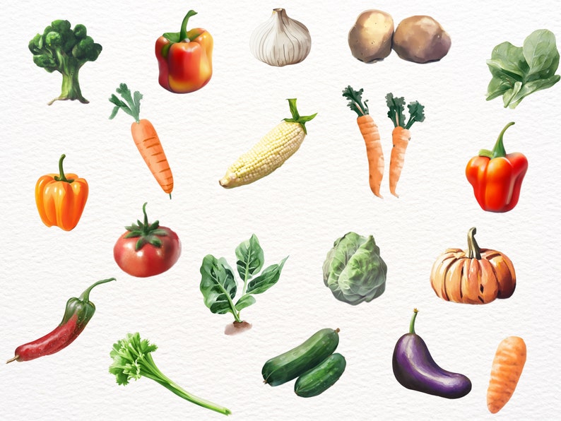 42 Vegetable Clipart | Tomato, Onion, Celery, Broccoli, Carrot, Corn ...