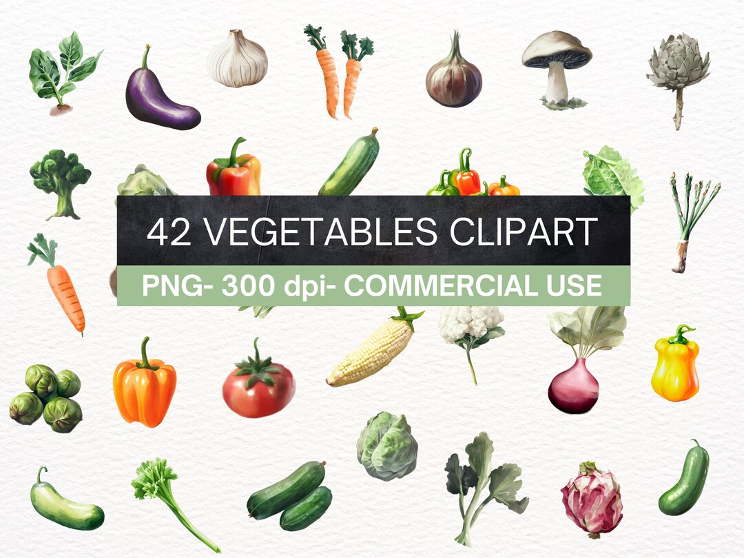42 Imágenes Prediseñadas de Vegetales / Tomate, Cebolla, Apio, Brócoli, Zanahoria, Maíz ...