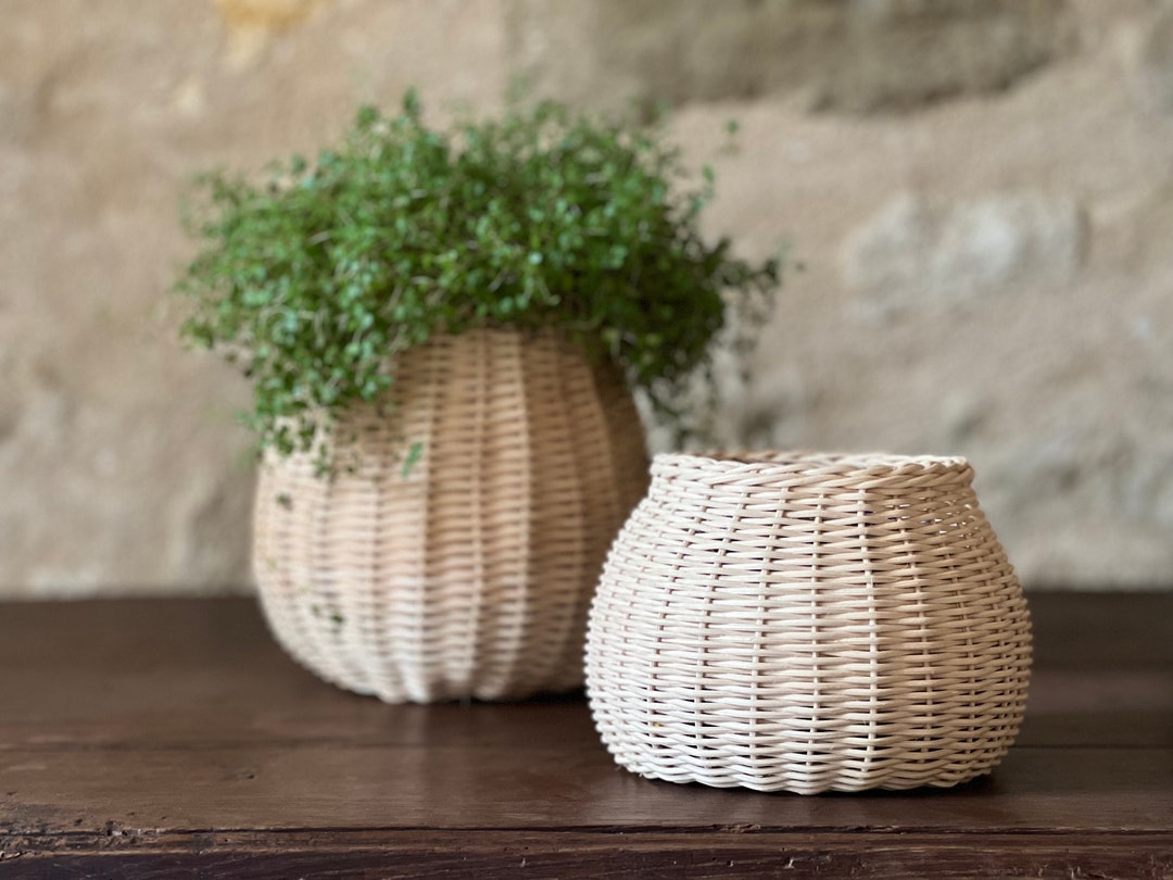 Rattan Planter for Plant or Bouquet of Flowers - Etsy