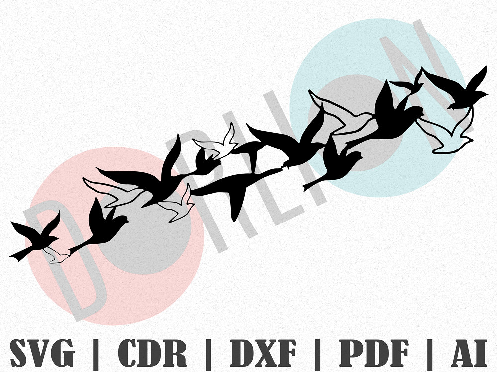 Birds Design SVG Customize Gift Svg Vinyl Bundle Cut File - Etsy