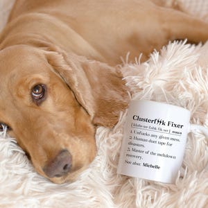 Personalized Cluster F Fixer Mug, Coworker Funny Gift, Workplace Bestie ...